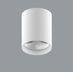 TALIS 130 Natynkowy - Spectra Lighting